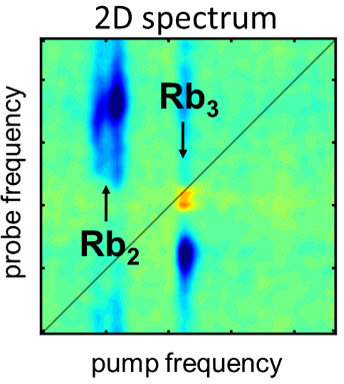 2D spectroscopy offers new insight into molecular processes ...