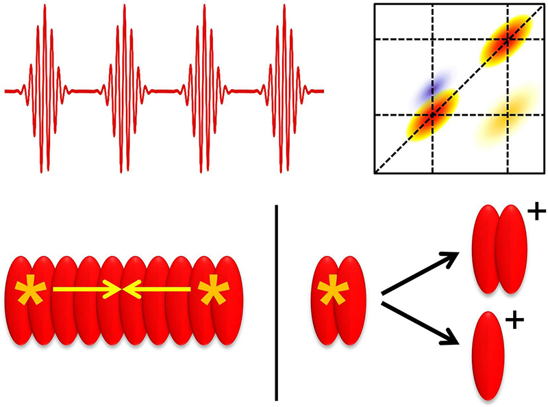 New 2D spectroscopy methods | Spectroscopy Europe/World