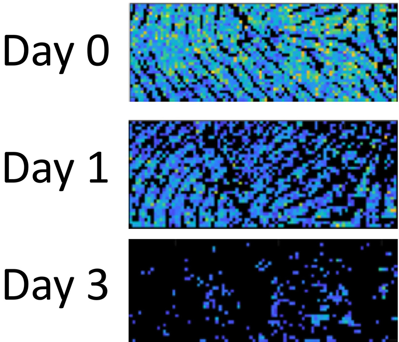 MS imaging to detect age of fingerprints | Spectroscopy Europe/World