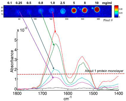 FT-IR spectra from picolitre-samples of protein | Spectroscopy Europe/World