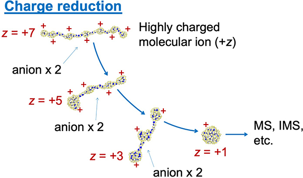 Computer simulations improve mass spectrometry | Spectroscopy Europe/World