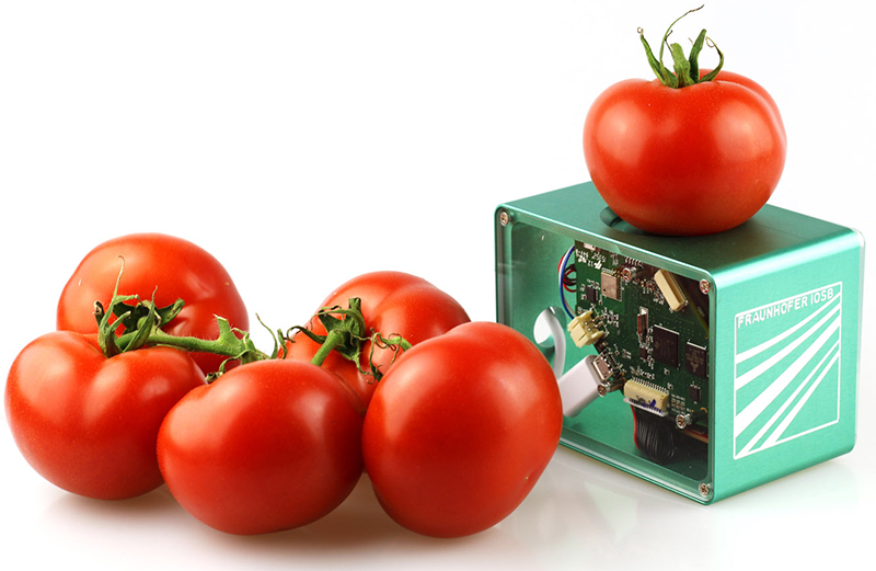 NIR pocket-size food scanner | Spectroscopy Europe/World