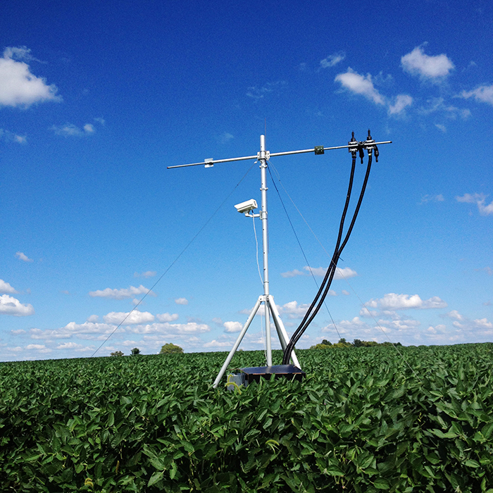 Scientists monitor crop photosynthesis, performance using hyperspectral ...