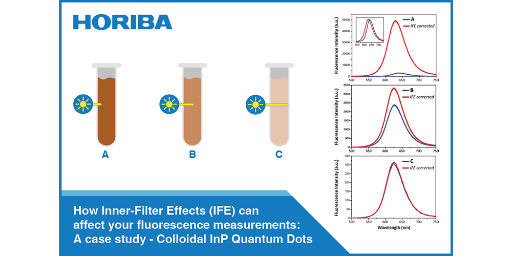 How Inner-Filter Effects (IFE) can affect your fluorescence ...