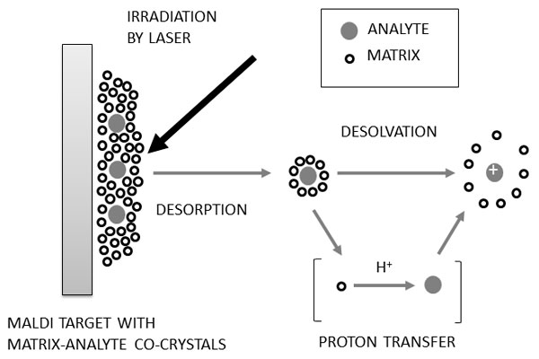 Solid mixed matrices and their advantages in matrix-assisted laser ...