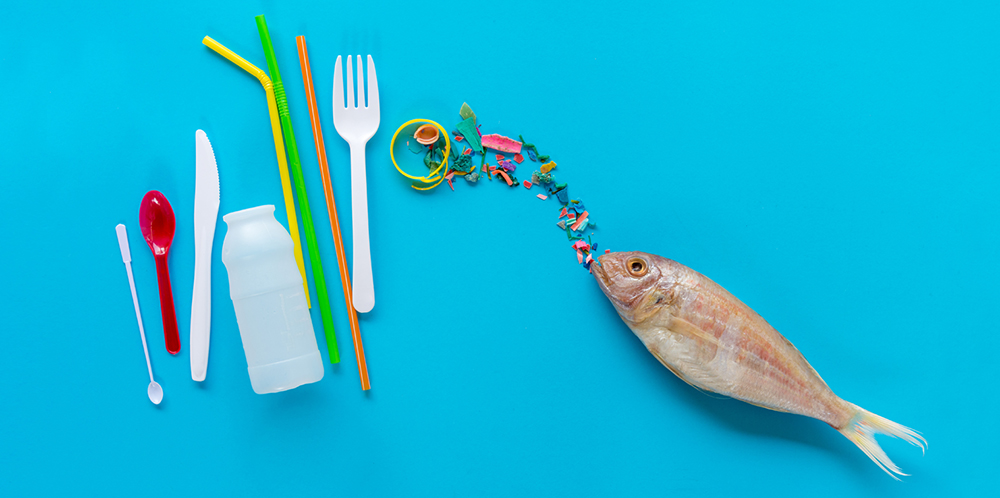 Monitoring microplastics in our oceans | Spectroscopy Europe/World