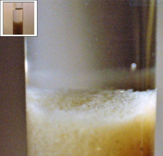 Activated sludge settling analysis using a near infrared optoelectronic ...