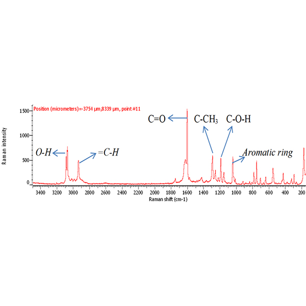 Raman spectroscopy analysis for monitoring of chemical composition of ...