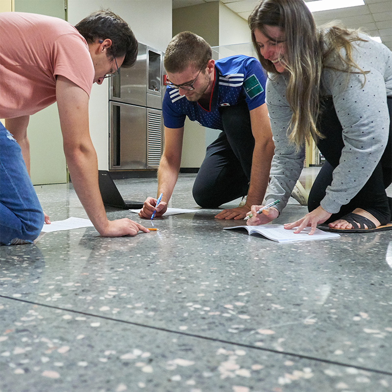 A Didactic Introduction To The Theory Of Sampling 2 D Sampling Experiment On Heterogeneous