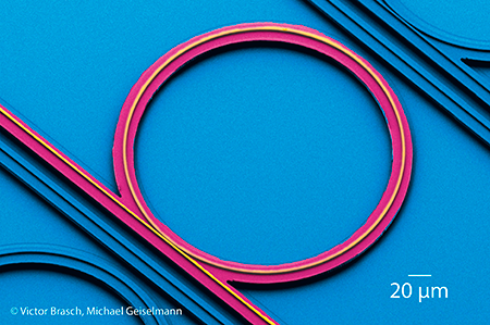 Microresonators produce broad spectrum frequency combs with ...