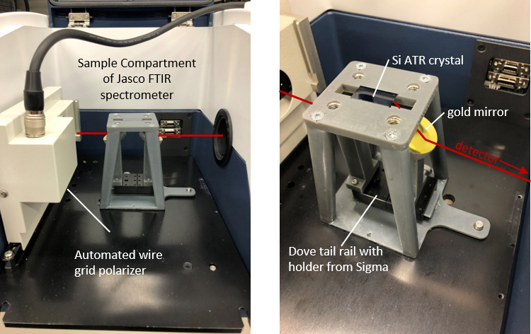 FT-IR spectroscopy shows molecular orientation in very thin films ...