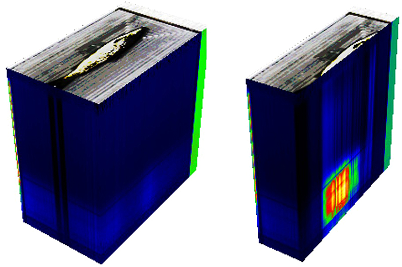 Spectral imaging system to detect smoltification in fish farming ...