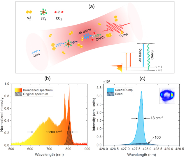 Air Lasing Raman Spectroscopy For Atmospheric Detection Spectroscopy Europe World