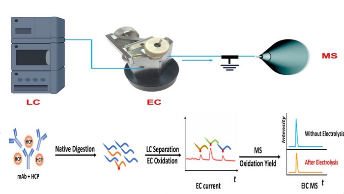 LC-MS and EC unlock a new method for testing protein-based drugs ...