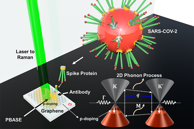 Graphene and Raman spectroscopy can detect COVID-19 quickly ...