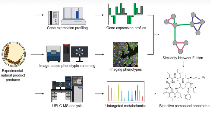 New approaches to screen natural products to identify potential drugs ...