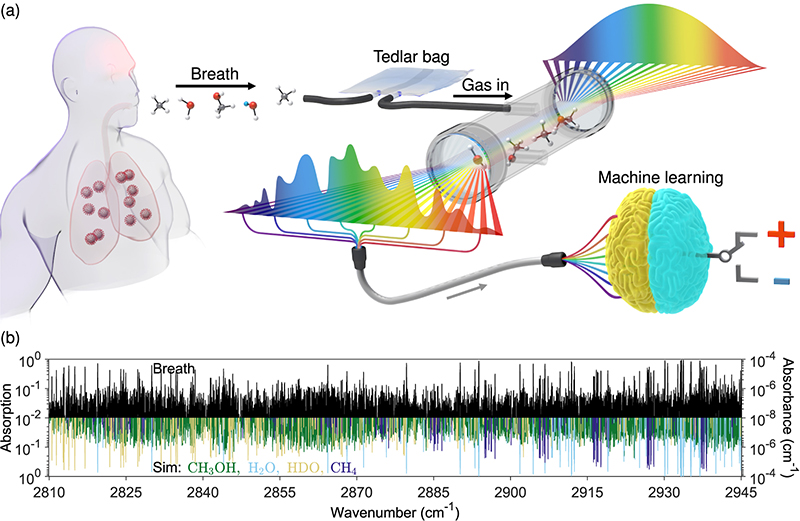 Frequency comb breathalyser detects COVID-19 | Spectroscopy Europe/World