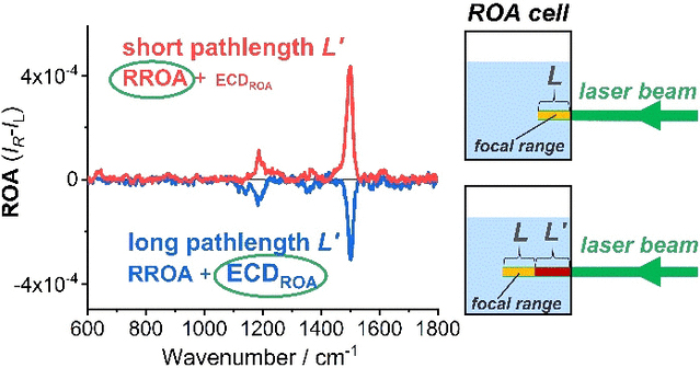 False Raman optical activity can lead to inaccurate results ...