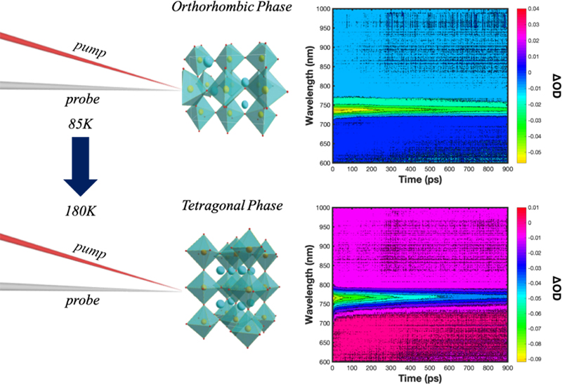 Ultrafast laser spectroscopy probes the charge carrier transfer ...