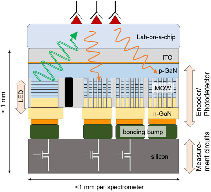 Miniature and durable spectrometer for wearable applications ...