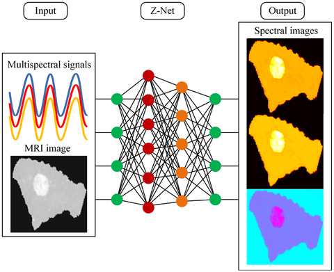 Deep learning with NIR and MRI can improve breast cancer imaging | Spectroscopy Europe/World