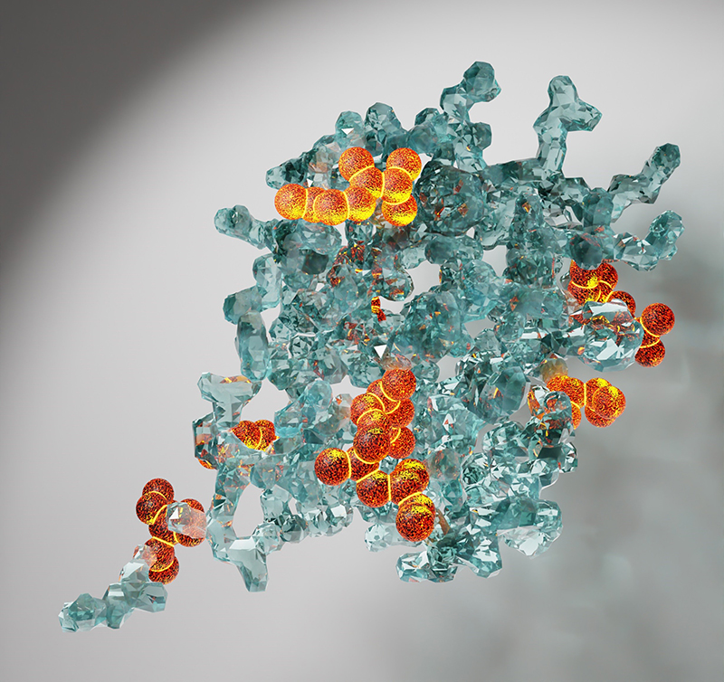 NMR spectroscopy reveals protein folding in milliseconds | Spectroscopy ...