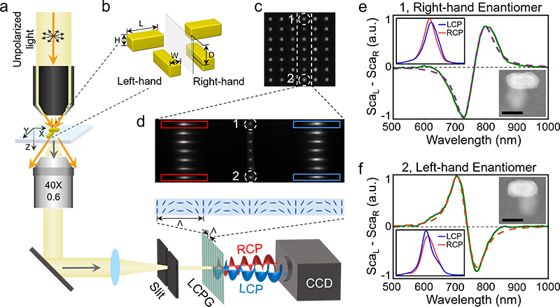 Snapshot measurement of single nanostructure’s circular dichroism ...