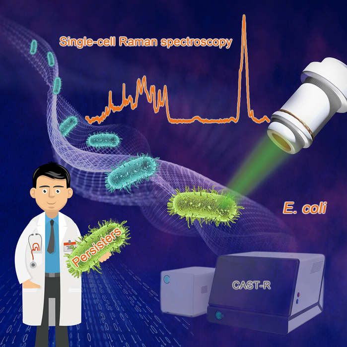 New Raman study reveals how E. coli cells evade antibacterial treatment ...