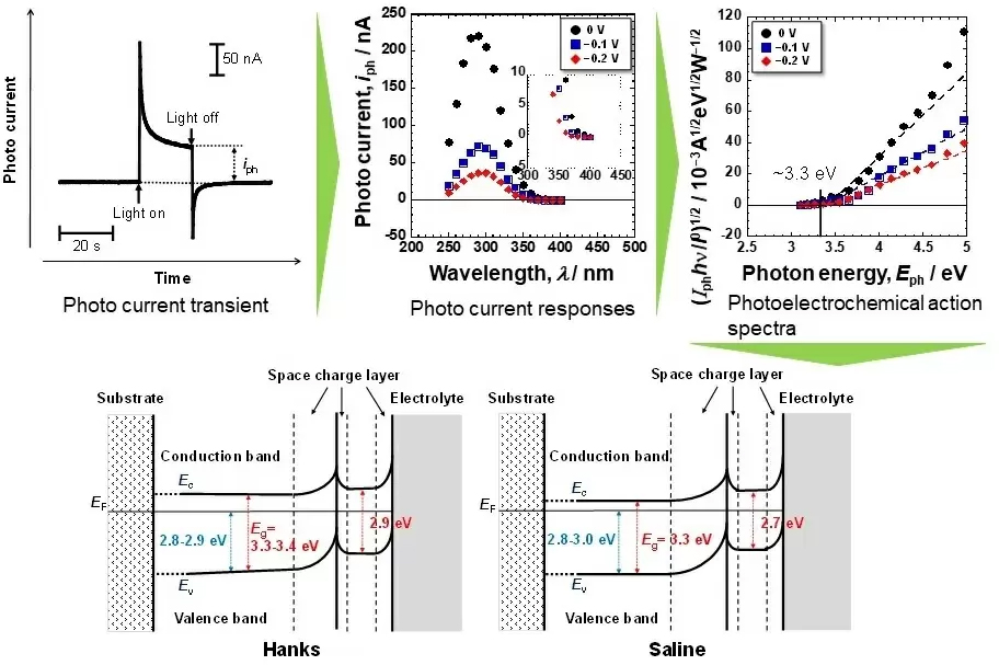 XPS explores biocompatibility of titanium implants | Spectroscopy ...