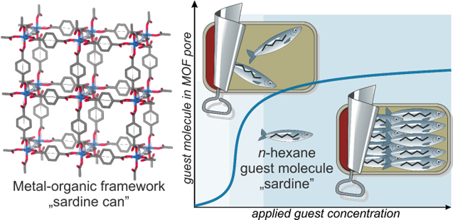 Infrared spectroscopy helps in the study of metal-organic frameworks ...