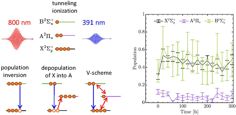 Watching the fate of molecular nitrogen with fs soft X-ray spectroscopy ...
